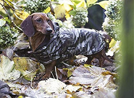 Psí obleček Croci Dachshund military | Goleto.cz